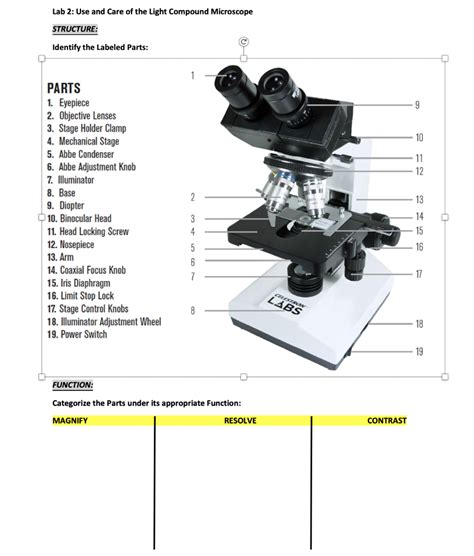 Compound Light Microscope Parts And Functions Shelly Lighting