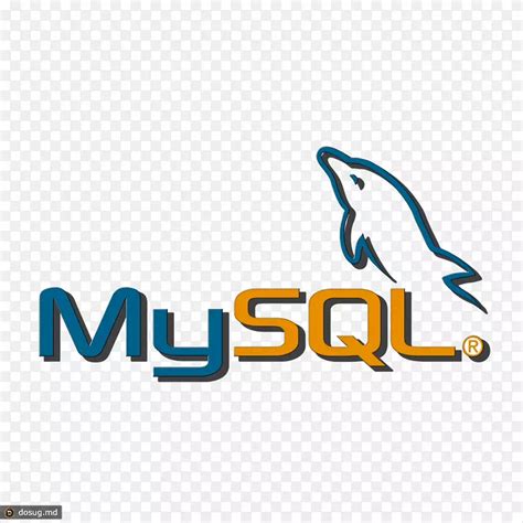 Php Mysql Html级联样式表数据库 Oracle应用程序开发框架png图片素材下载 图片编号3178625 Png素材网