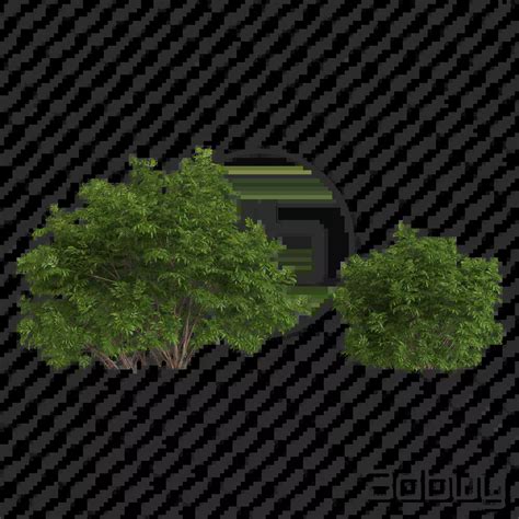 3d модель Зеленые кусты бузины
