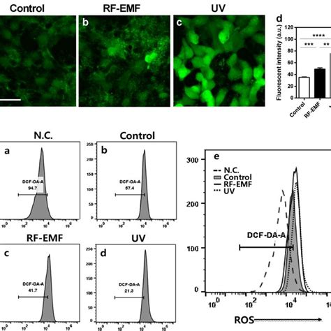 Exposure To Radiofrequency Electromagnetic Field Rf Emf Increased Download Scientific Diagram