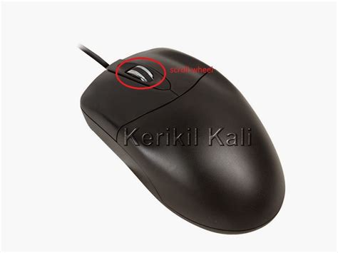 Cara Memperbaiki Mouse Komputer Yang Rusak BAB Kerusakan Pada Bagian Scroll Wheel KERIKIL KALI