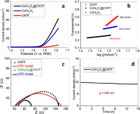 A Ir Compensated Polarization Curves For Oer For The Bare Cnt Fiber Download Scientific