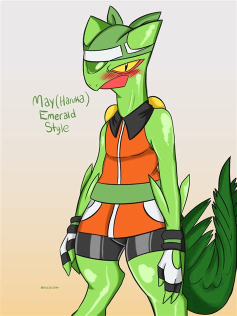 Pokemon May Emerald Outfit