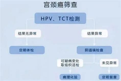 Cin1、cin2、cin3分别采取哪种治疗方式？ 知乎