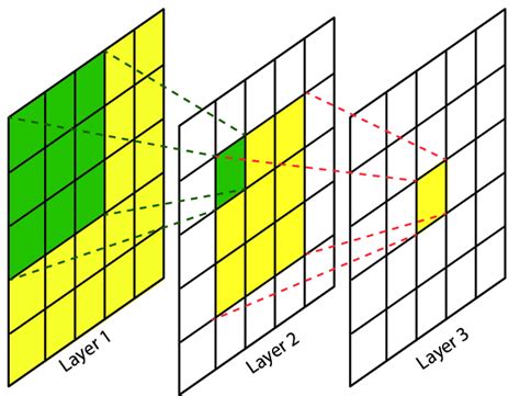 3 Illustration Of The Evolution Of The Receptive Field In An