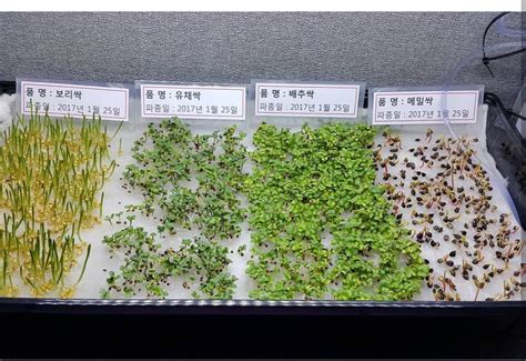 수경재배포트의 진화 그로운팜 만의 수경재배포트 기존포트들의 문제점을 획기적으로 개선하고 작업속도를 빠르게해주어 인건비절감효과가 크며 수경식물공장ㅡ그로운팜 Band