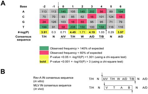 A Palindromic Consensus Sequence From Sites Of Rev A Integration In Download Scientific