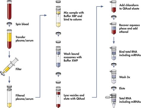 Characterization Of Rna From Exosomes And Other Extracellular Vesicles Isolated By A Novel Spin