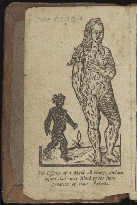 Aristotles Bestselling Sex Manual Brewminate A Bold Blend Of News