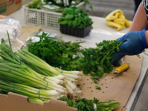 Cheryl Mcmanus On Linkedin Canada Throws Out Half The Food It Produces