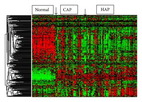 Heat Map Of K Mer Counting Profiles Of Original Pneumonia Data For