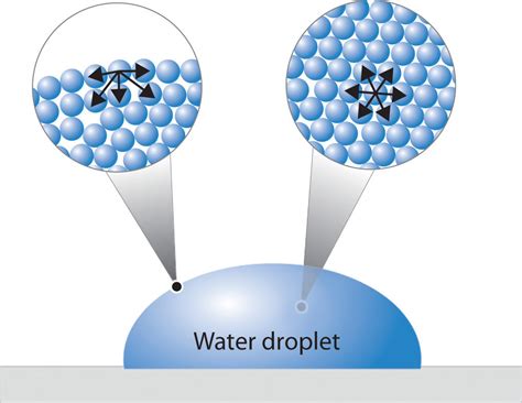 114 Intermolecular Forces In Action Surface Tension Viscosity And Capillary Action