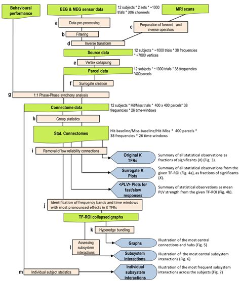 A Schematic Overview Of The Analysis Pipeline This Figure Shows The