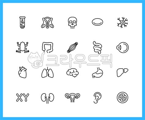 실험 과학 인체 장기 해부 사진이미지일러스트캘리그라피 프레즌트작가