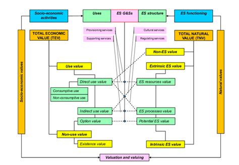 Societal Values Classification The Total Economic Value Tev Is