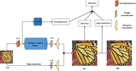 Widely Activated Network Fused Perceptual Loss P Wan Download Scientific Diagram