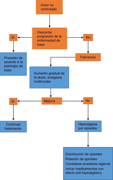 Causas Y Efectos De La Hiperalgesia En La Salud PsicologÍavitae