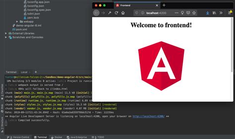 How To Pack Angular 8 Applications On Regular War Files