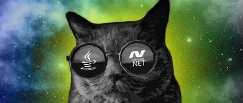 我是新手，为什么我选择了 而不是 java？ 工作 平台 boot