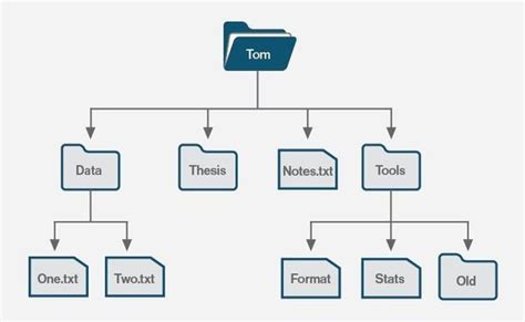 Applications Of Tree Explained