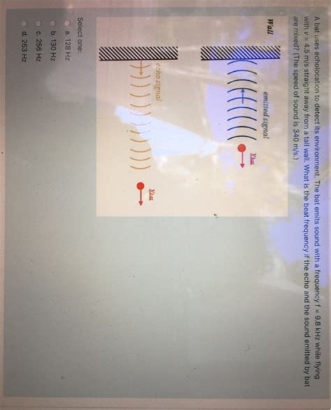 Solved A Bat Uses Echolocation To Detect Its Environment