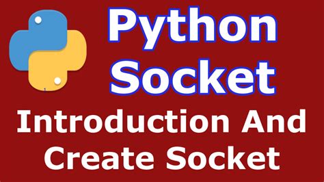 Python Socket Archives Codeloop