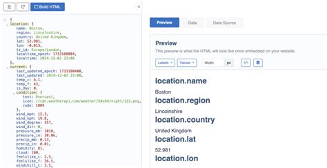 convert json api to html api widgets