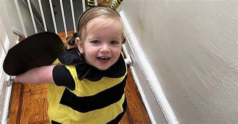 Bumblebee Album On Imgur