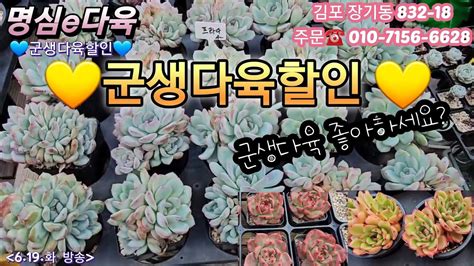 군생다육 좋아하세요 그럼 명심e다육과 함께 좋아하세요~♡ Youtube