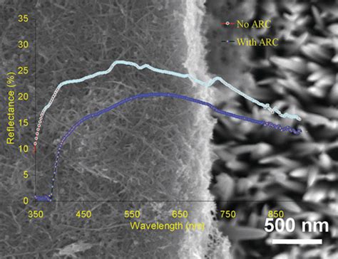 Antireflective Photoanode Made Of Tio2 Nanobelts And A Zno Nanowire
