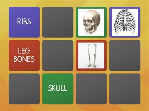 match the skeleton parts matching pairs