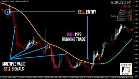 Pip Collector RealMarketTrading Com