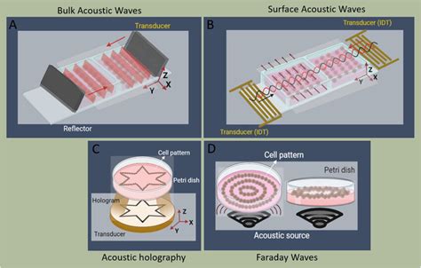 Schematic Of Cell Patterning Modes Including A Bulk Acoustic Waves Download Scientific
