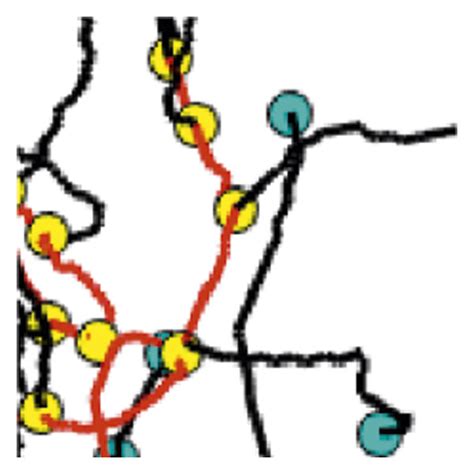 Schematic Diagram Of The Pulmonary Vascular Geometric Graph