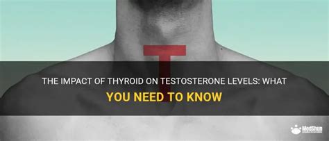 The Impact Of Thyroid On Testosterone Levels What You Need To Know