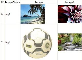 Display Images In GridView From DataBase Asp Net