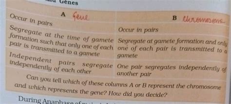 Occur In Pairssegregate At The Time Of Gamete Formation Such That Only O