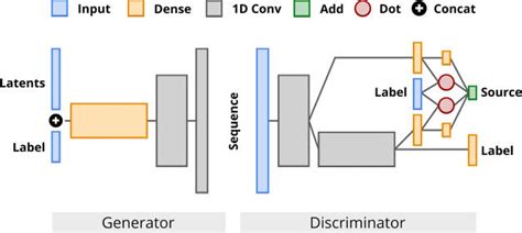 Architecture Of Proteogan After Extensive Hyperparameter Optimization