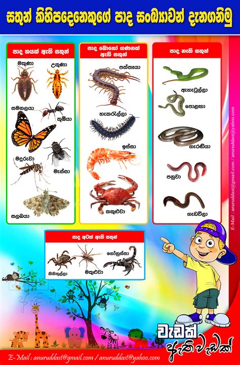 සතුන් කිහිපදෙනෙකුගේ පාද වැඩක් ඇති වැඩක් Wedak Athi Wedak