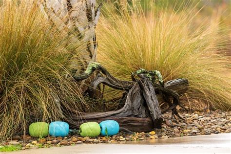 생동감 넘치는 장식으로 뒤덮인 나무 그루터기가 있는 해안 풍경 0명에 대한 스톡 사진 및 기타 이미지 0명 개성 개념 경관 Istock