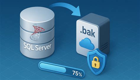 Sql Server Backup A Complete Guide 2025