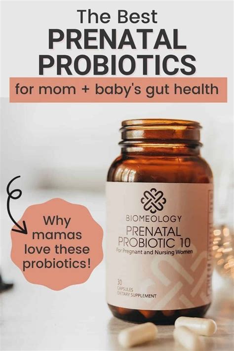 Biomeology Prenatal Probiotics Optimize Your Gut Health In Pregnancy Artofit