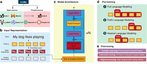Application Of Llmstransformer Based Models For Metabolite Annotation