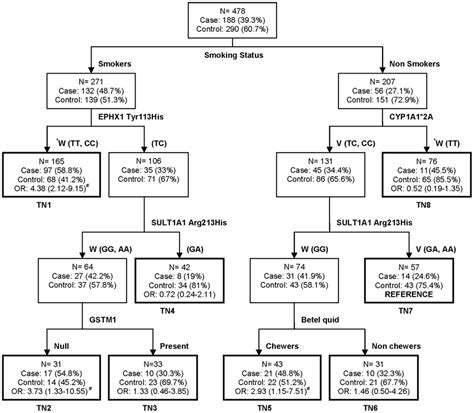 Classification And Regression Tree Model For Xenobiotic Metabolizing