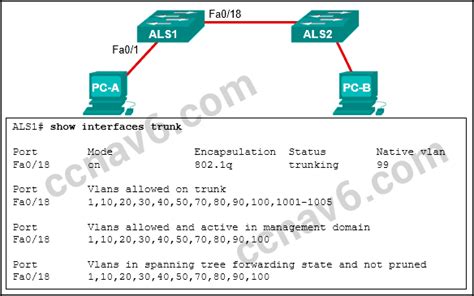 Ccna 1 V51 V60 Chapter 3 Exam Answers 2019 100 Full
