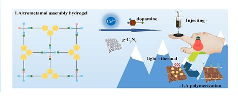 Injectable Hydrogel For Plateau Wound Healing Research Findings