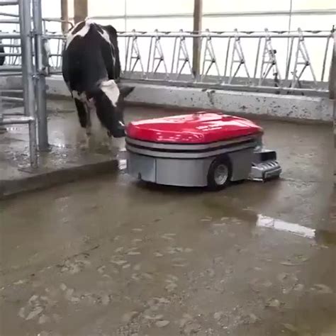 Video Povilas Korop On Linkedin Finally The Usage Of Ai Which Is