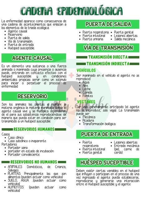 Cadena Epidemiológica Antonella Rivadeneyra Ramirez Udocz