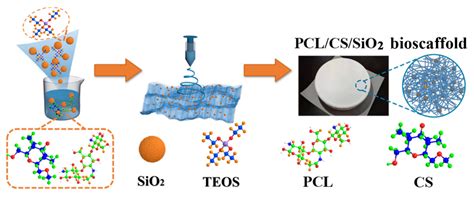 Nanosilica Anchored Polycaprolactonechitosan Nanofibrous Bioscaffold To Boost Osteogenesis For