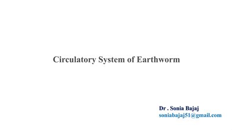 Circulatory System Of Earthworm Pptx Blood Disorders Diseases And